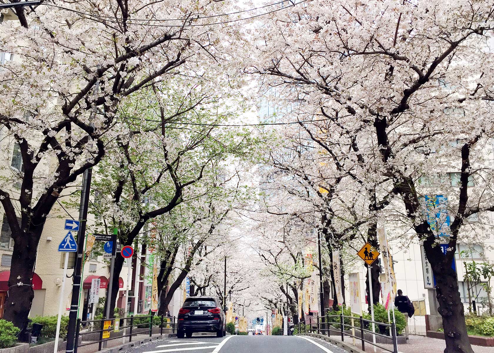 エリアの特長について (About the Features of Each Area)｜SHIBUYA CREATIVE JUNCTION